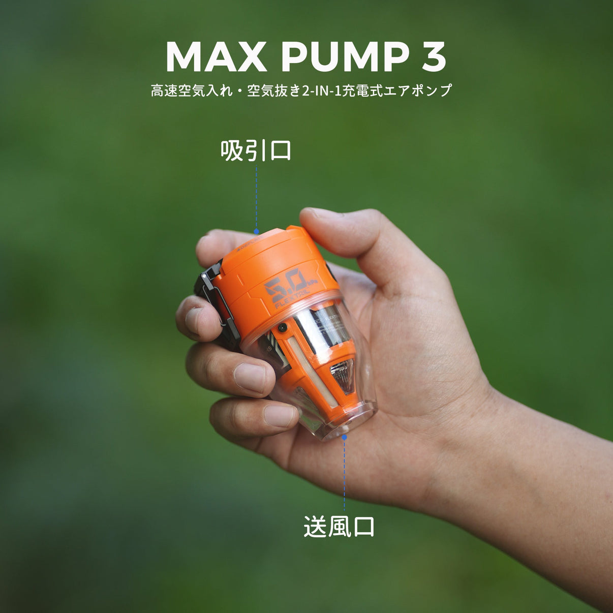 FLEX TAIL MAX PUMP 3 BLACK – Black Label